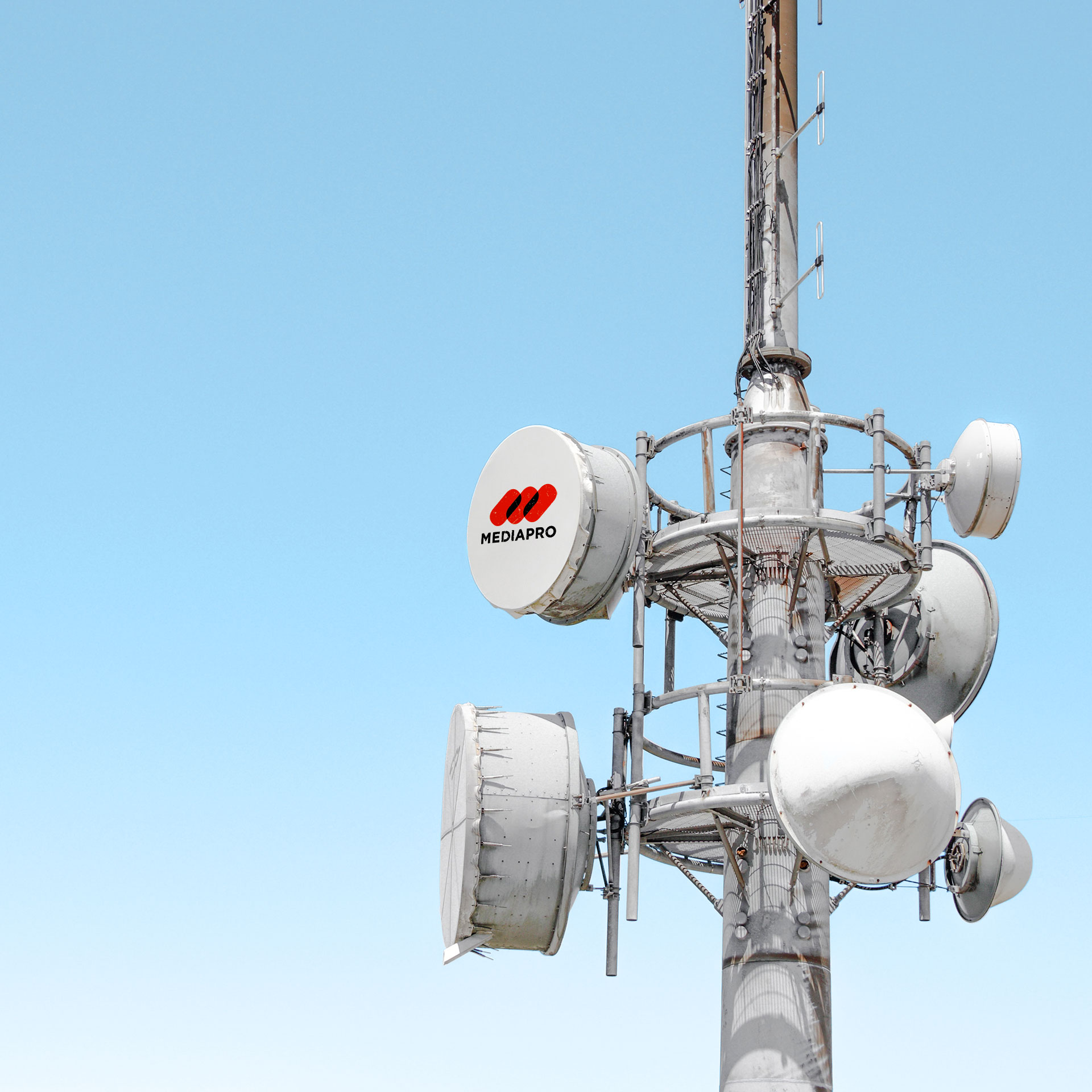 Work – Tholon – Projects and Case Studies – Graphic Design